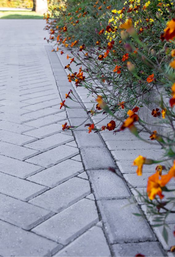 Pavé INTERPAVÉ – Pavés Concept